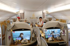 キャセイ・デライト Cathay Delight | KITAGAWA.WS